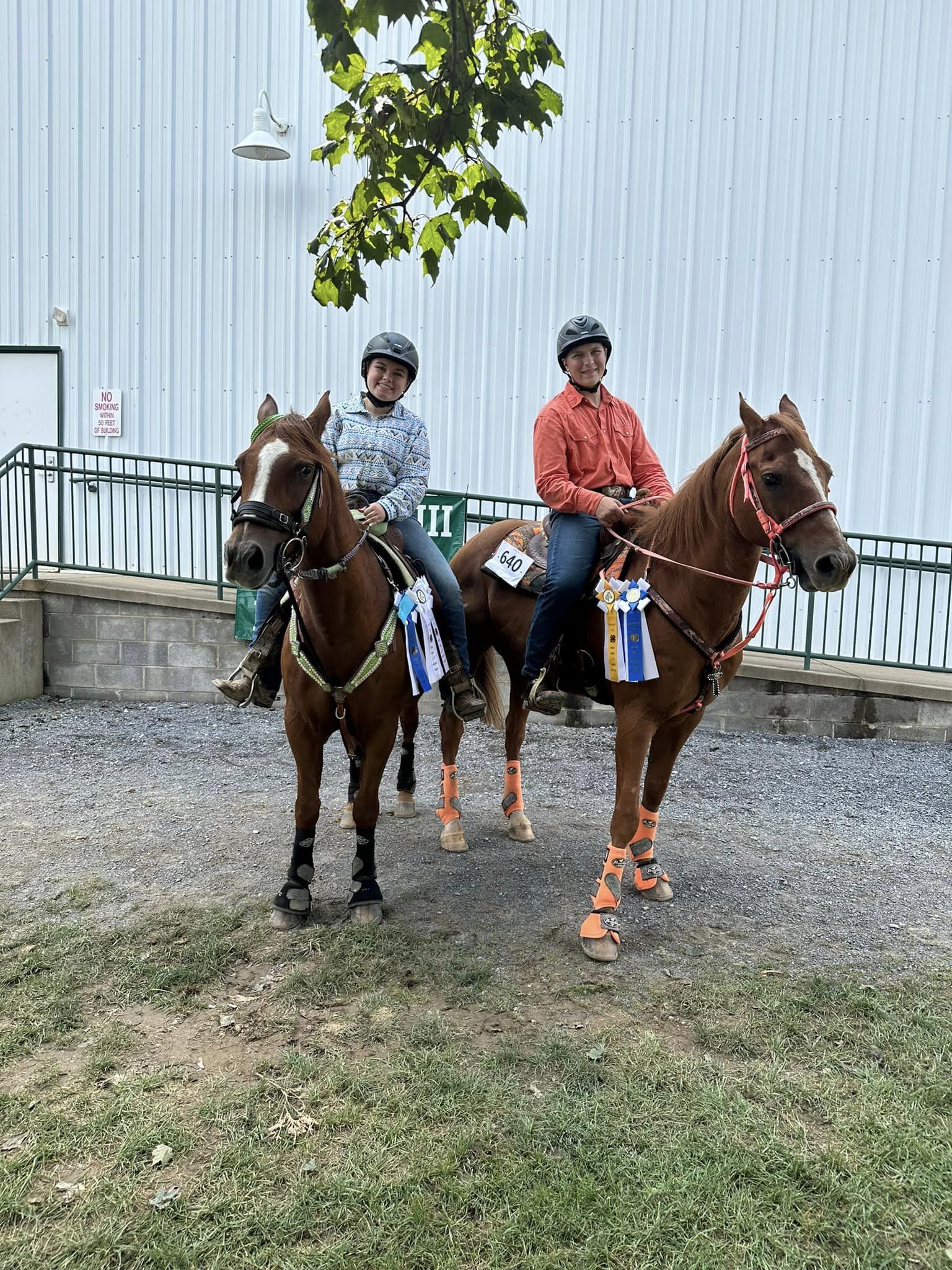 4 H Club Qualifies For State Horse Show News Sports Jobs Times 4 H Club Qualifies For State Horse Show News Sports Jobs Times